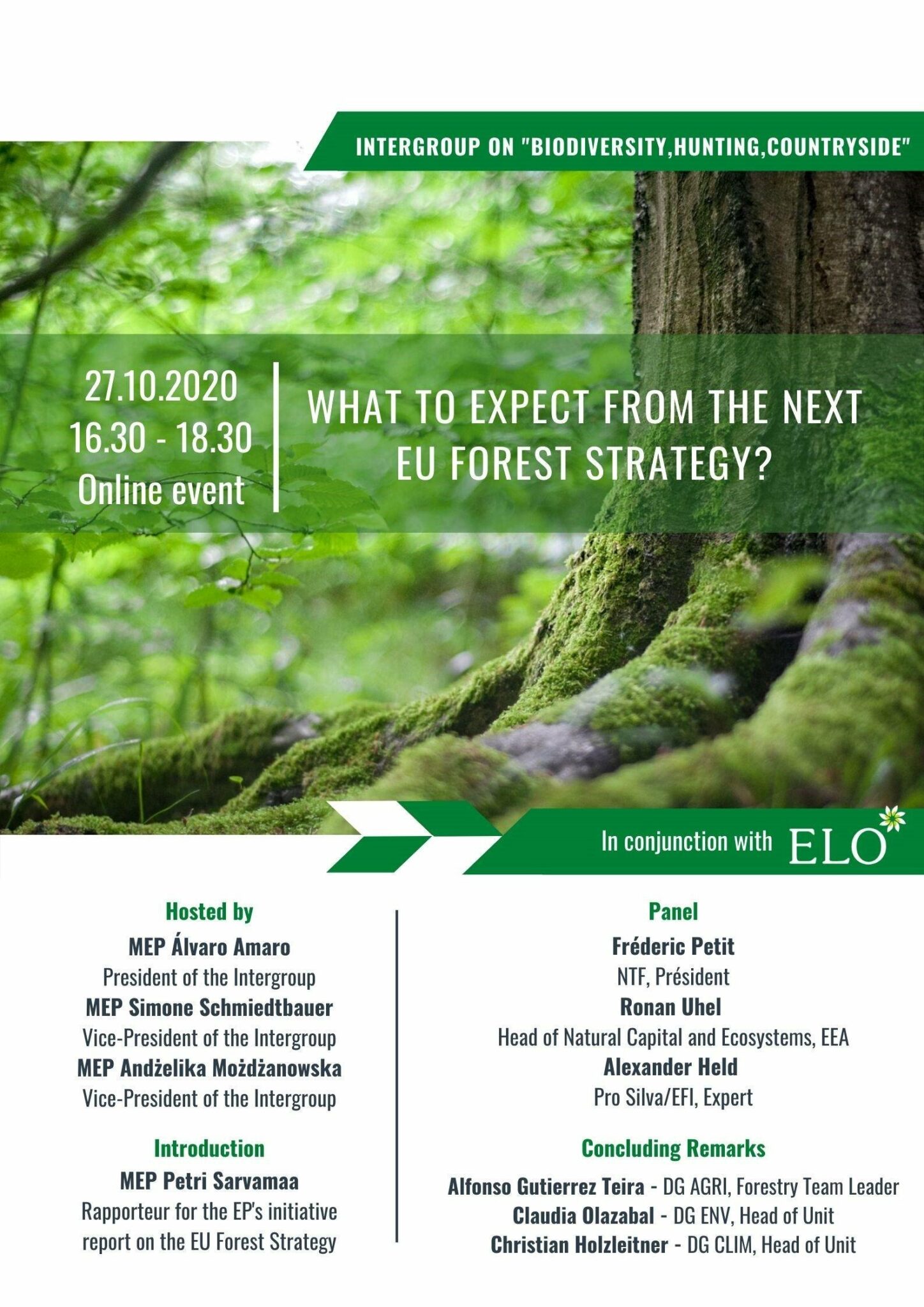 What to expect from the next EU Forest Strategy ? – "Biodiversity ...